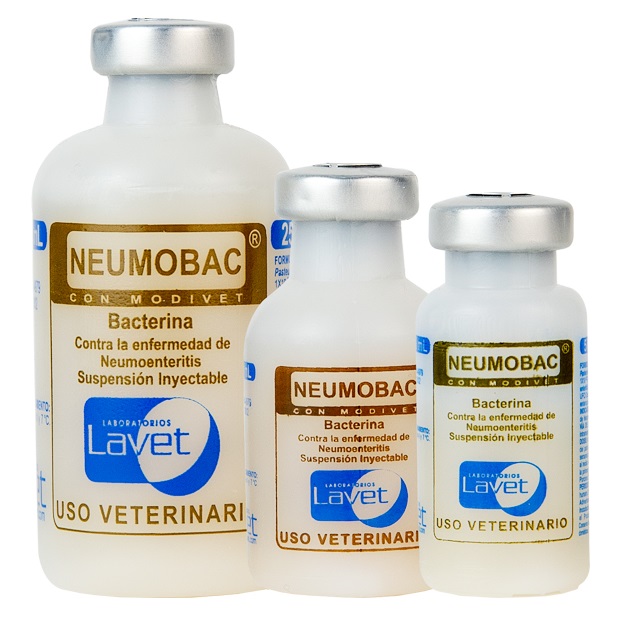 VACUNA NEUMOBAC | El Rejo Web