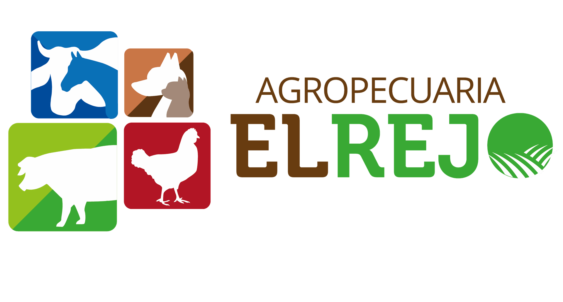 Terms & Conditions | El Rejo Web